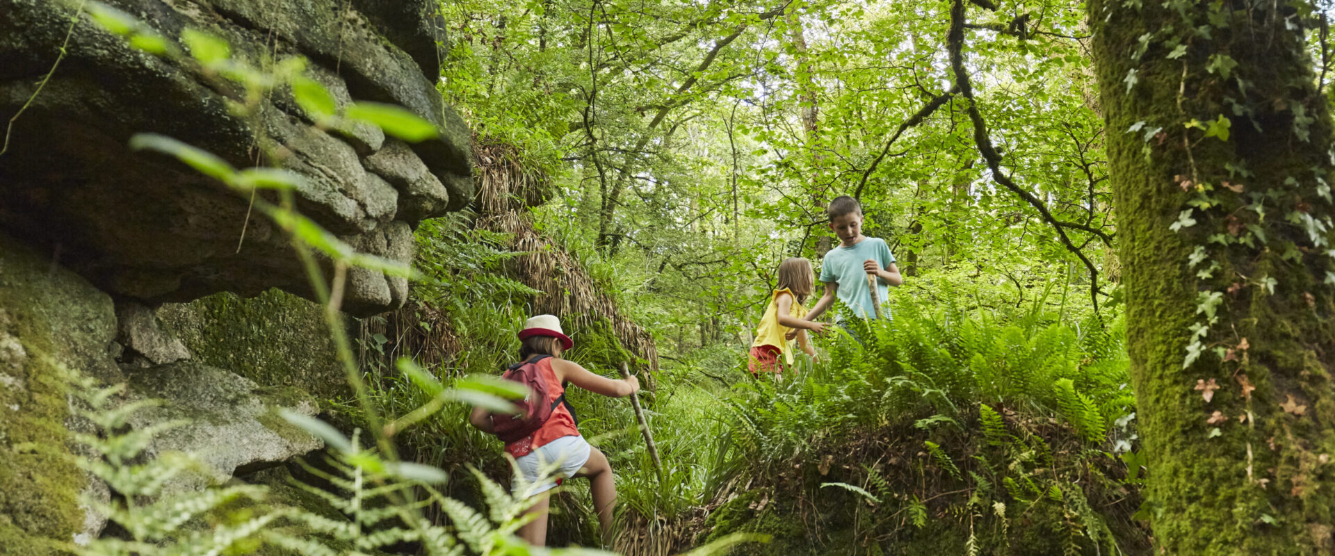 Rando, trail et vélo - Communauté de communes et Office de Tourisme de ...